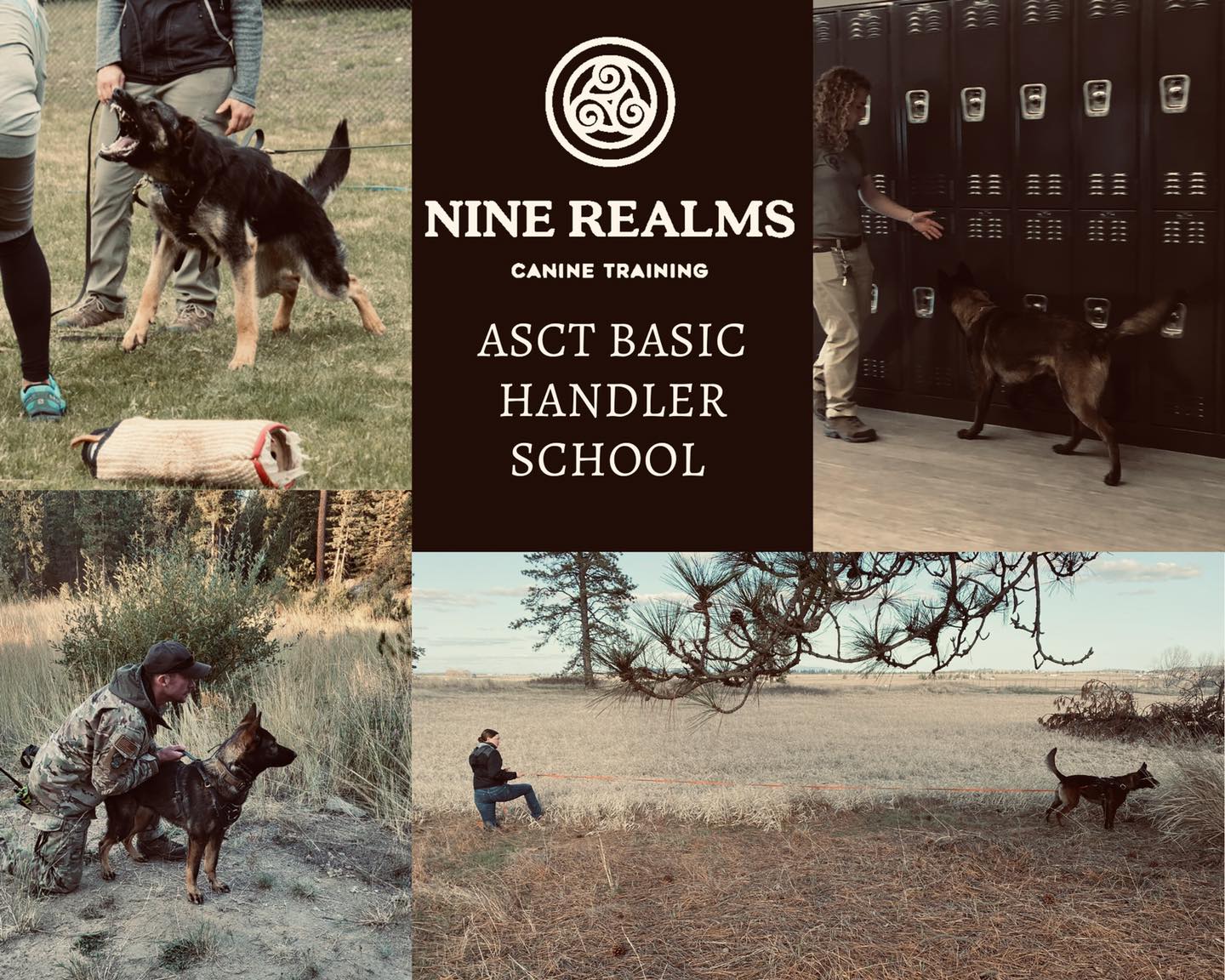 Handler School – NINE REALMS CANINE TRAINING