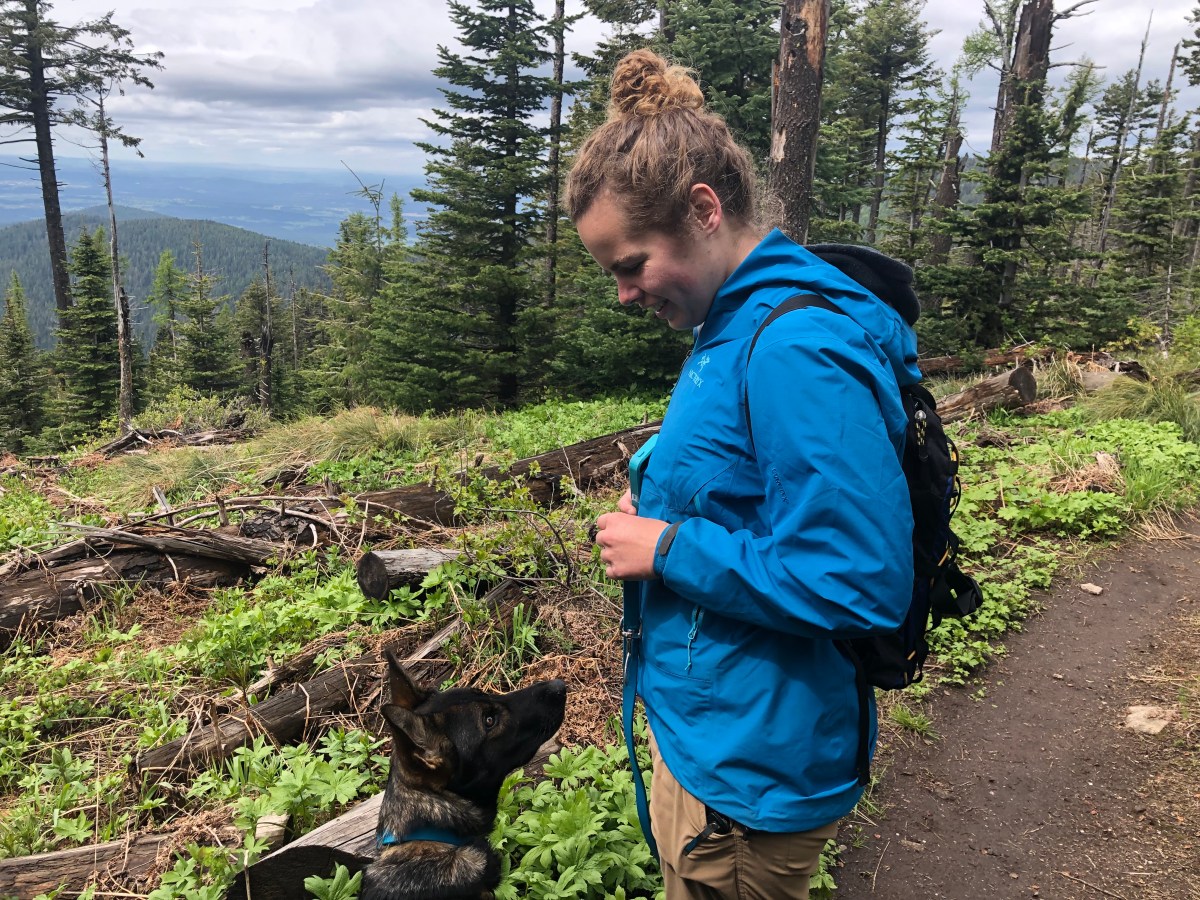 Shadow Program – NINE REALMS CANINE TRAINING