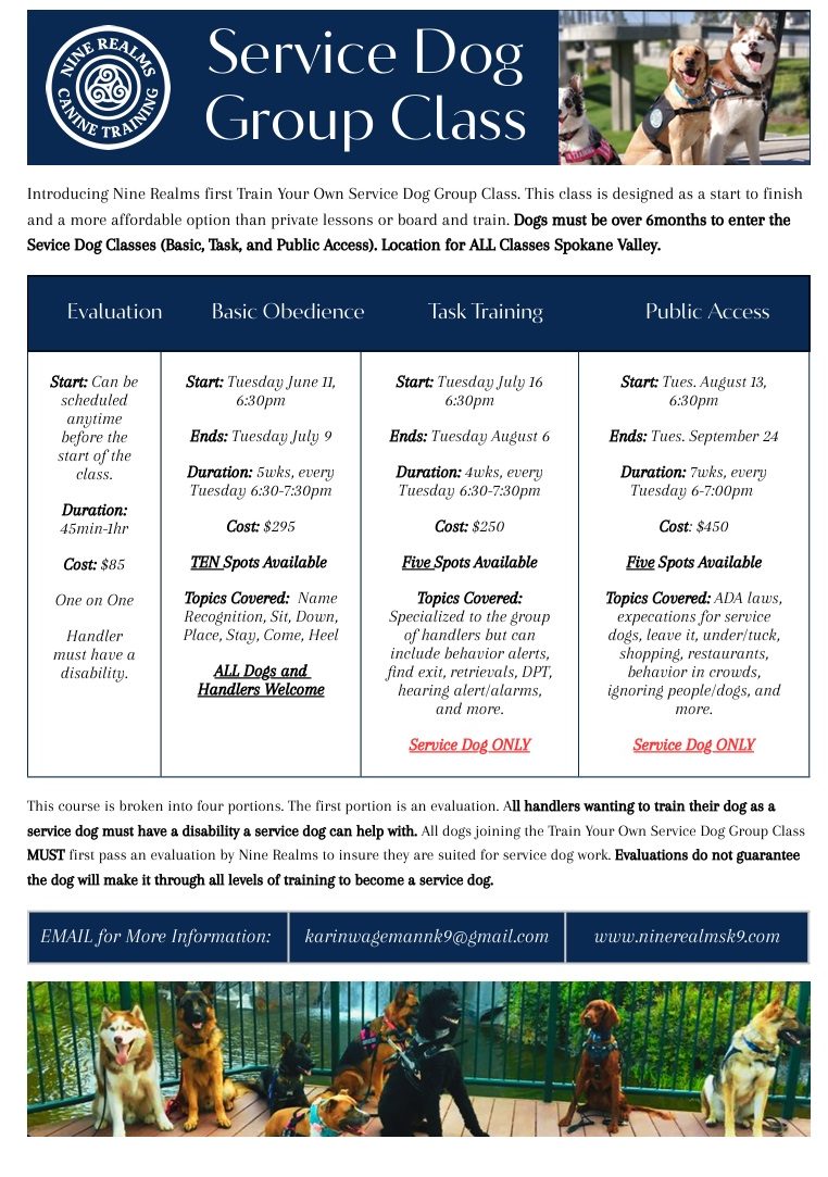 Group Classes – NINE REALMS CANINE TRAINING